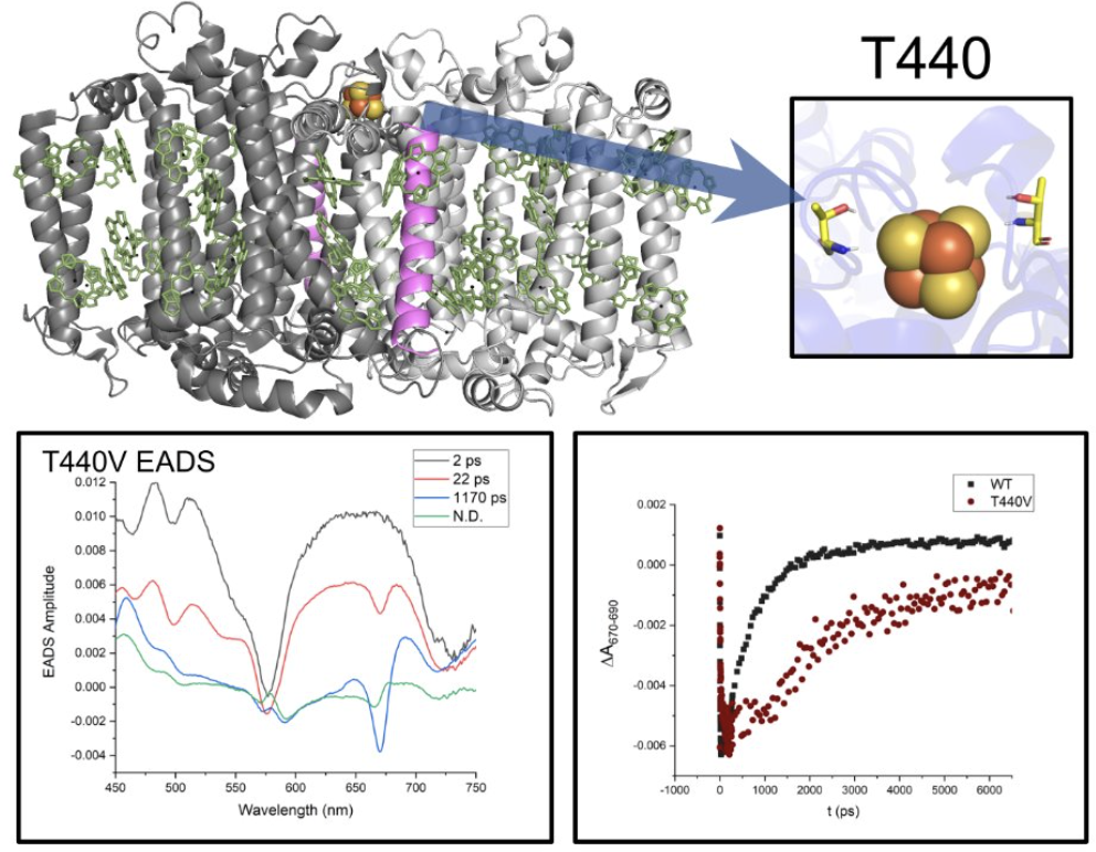 Core Facilities News - April 2024 - Ultrafast Laser Highlight | Core Facilities